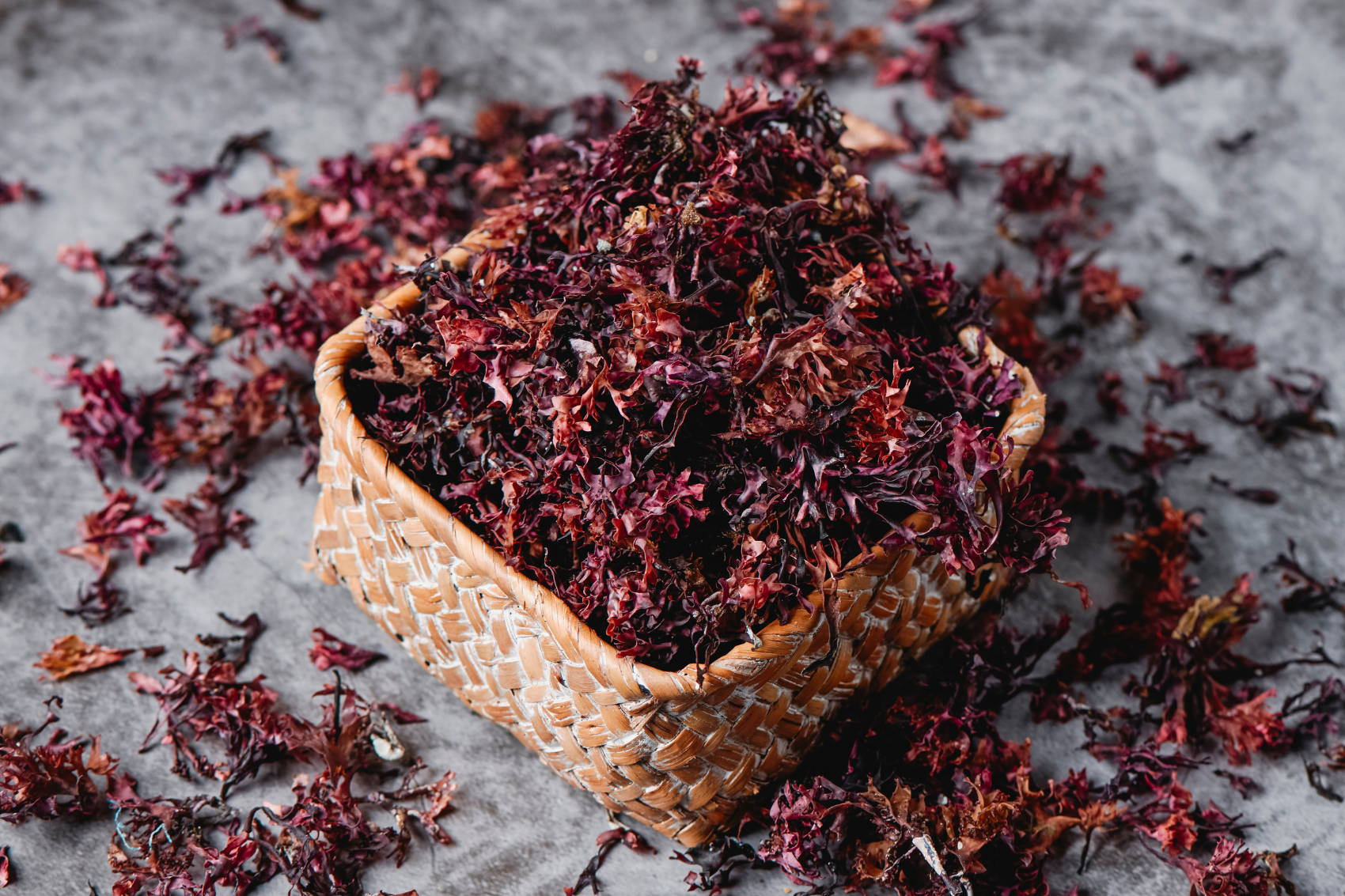 5 Top Reasons to Try Sea Mosse | Blog | Go Vita