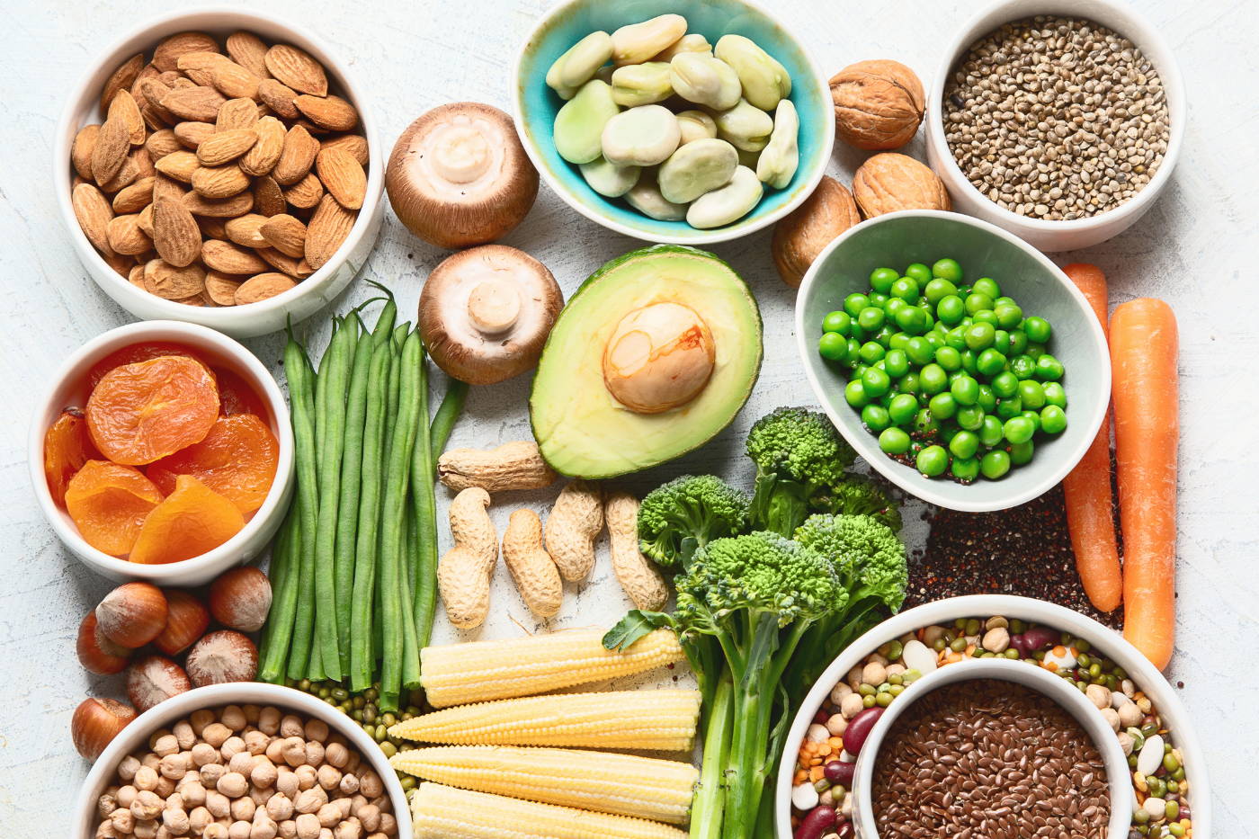 Unlocking The Benefits Of Plant Protein | Blog| Go Vita Wellness Hub