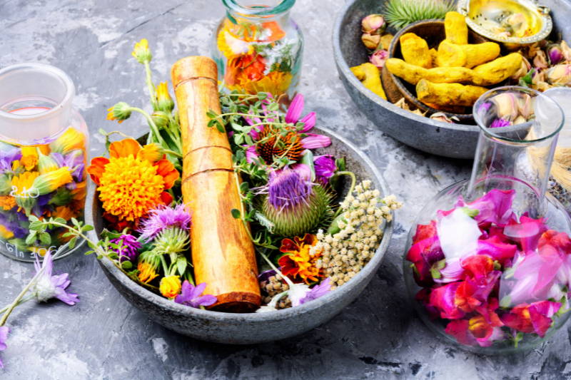 Naturopath Medicine – Go Vita