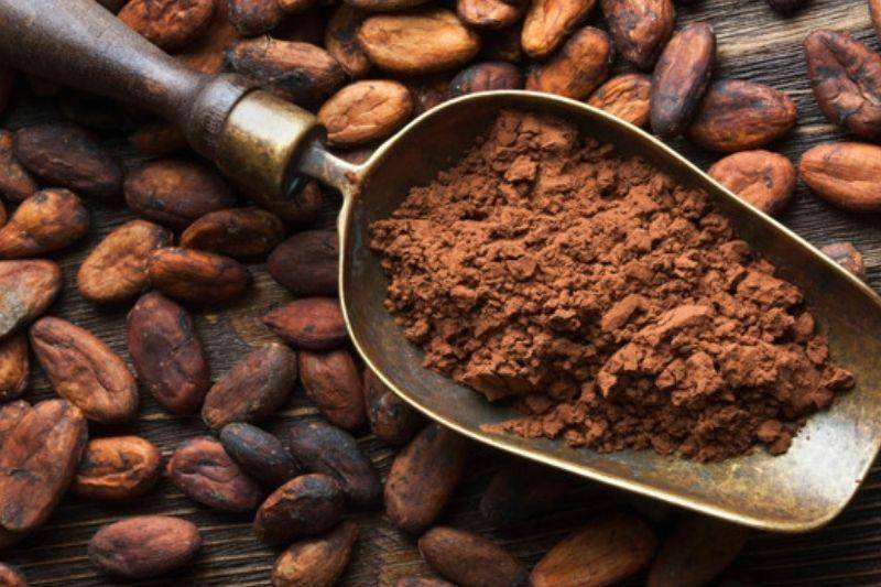 Cacao - Food of the Gods – Go Vita