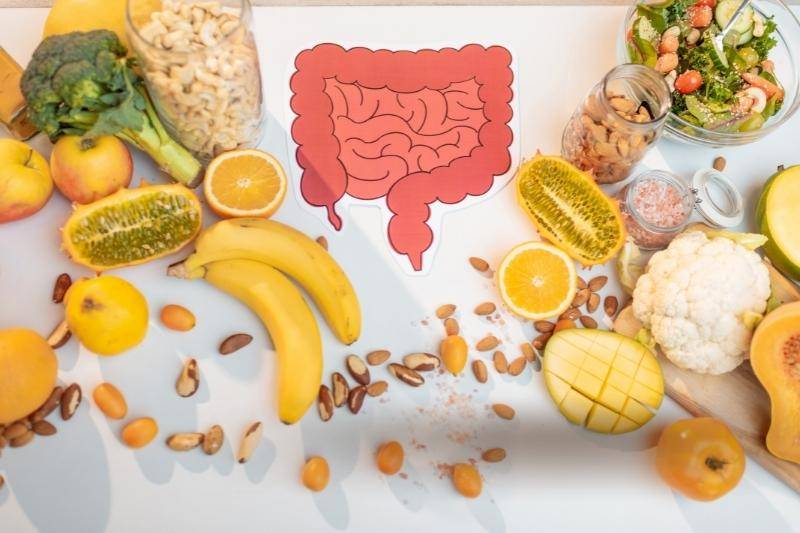 Go With Your Gut – Go Vita