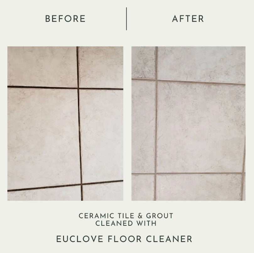 Buy Euclove Natural Floor Cleaner Online