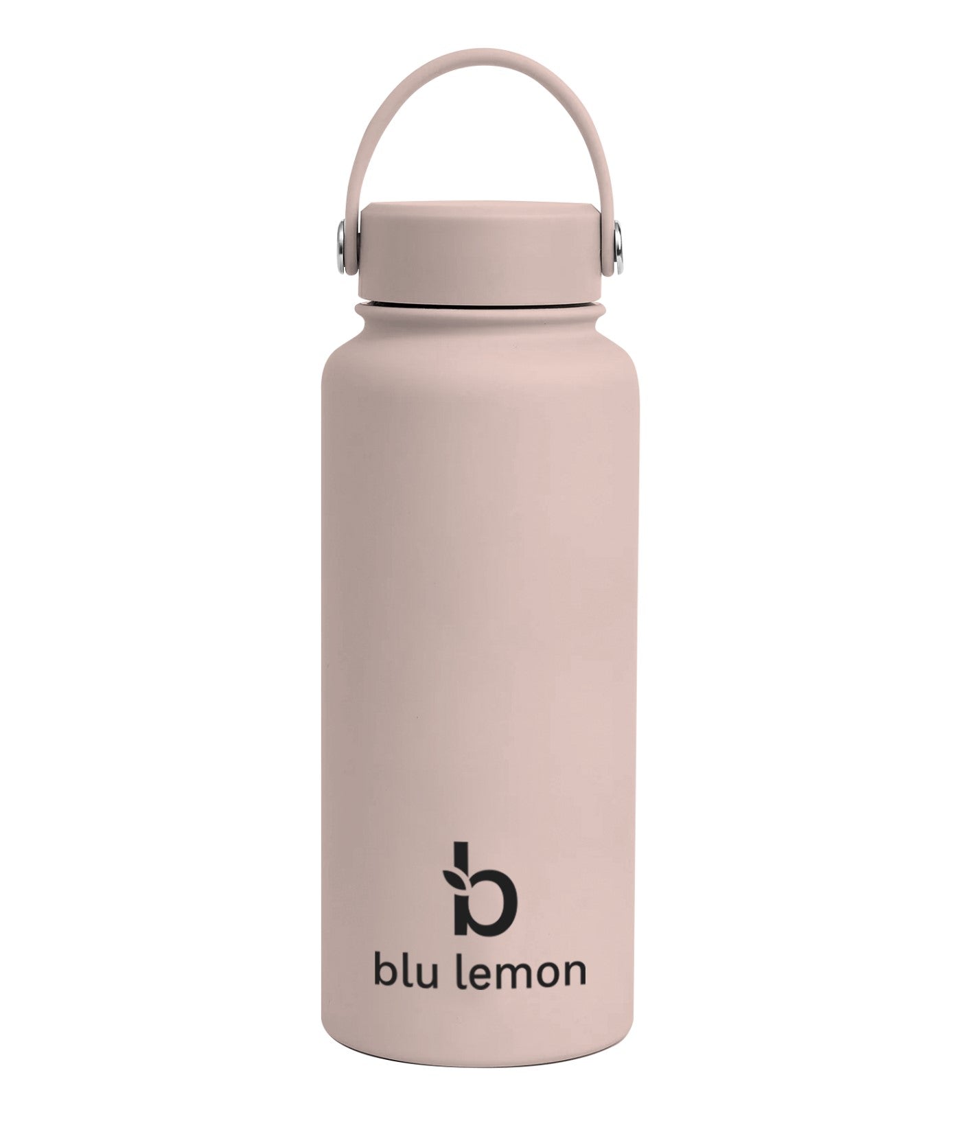 Buy Blu Lemon Insulated Stainless Steel Bottle 1L Online